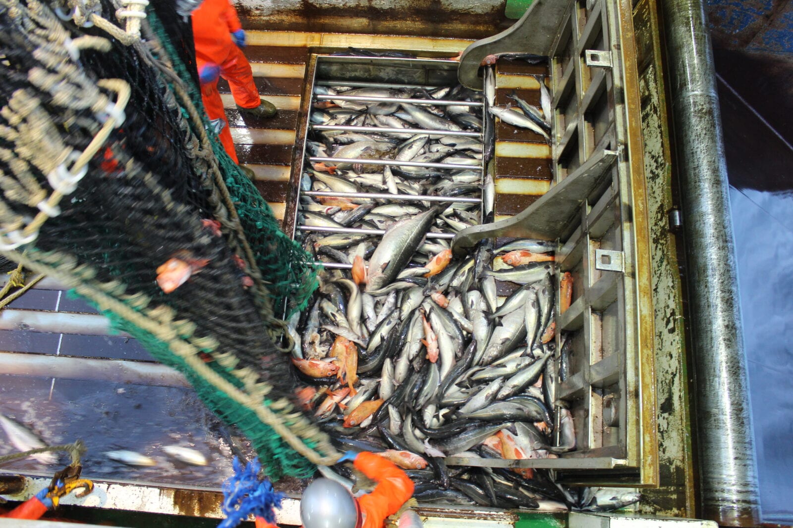 Vónin Zenith - Vónin