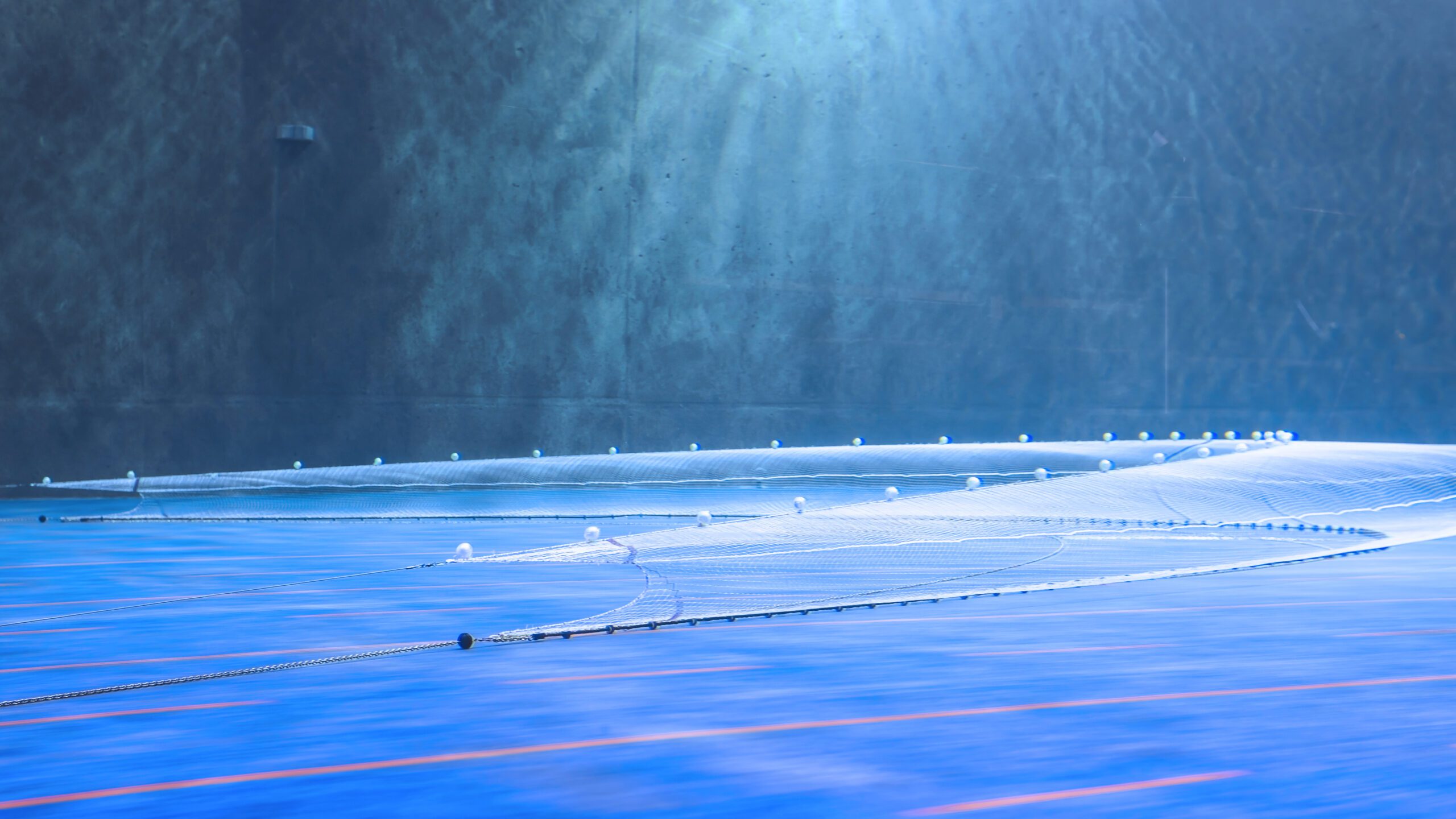 Vónin Monkfish - Vónin