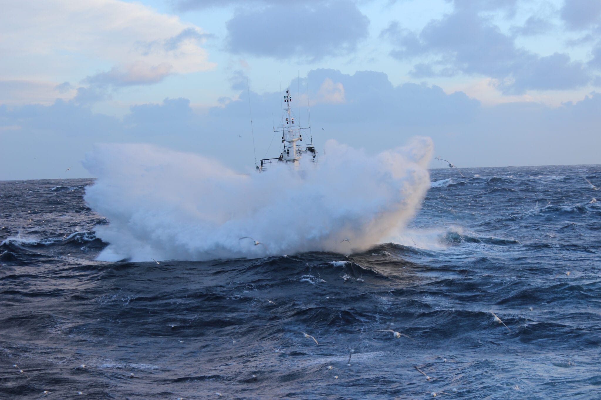 Vónin Turbot - Vónin