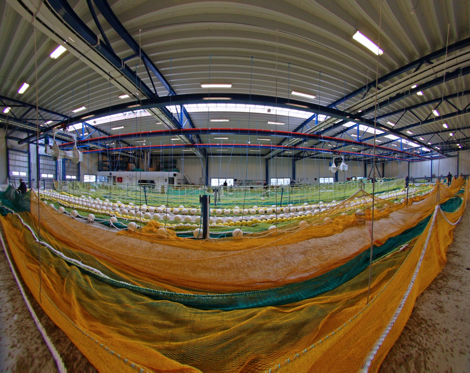 Vónin Kodiak - Vónin