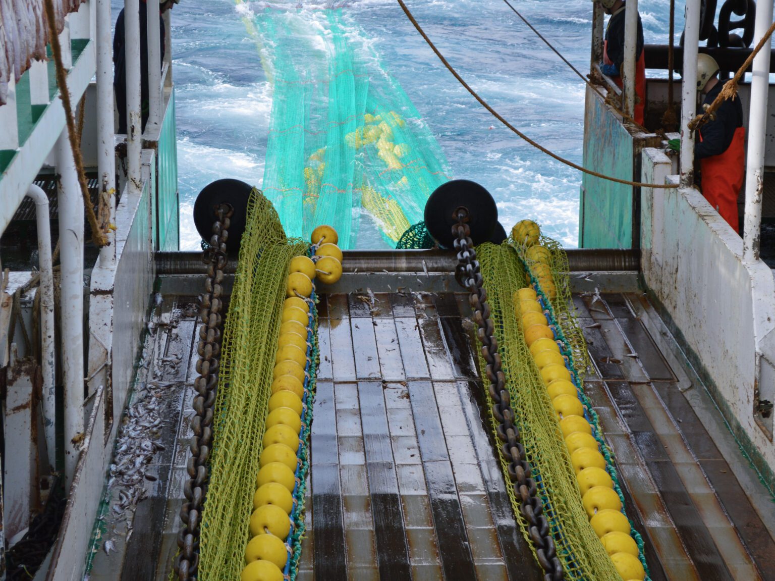 Vónin Bacalao - Vónin