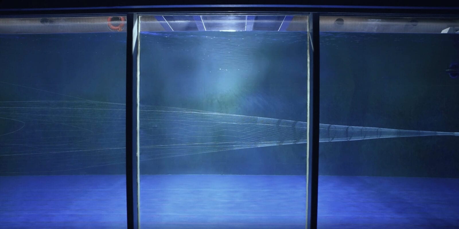 Vónin Gannet - Vónin