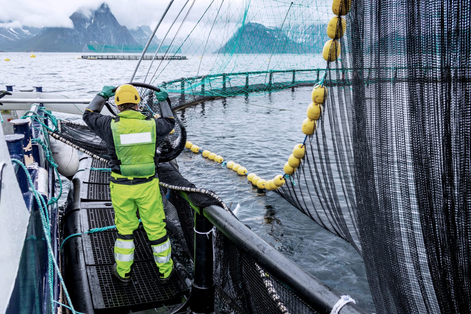 Sweep Nets - Aquaculture industry