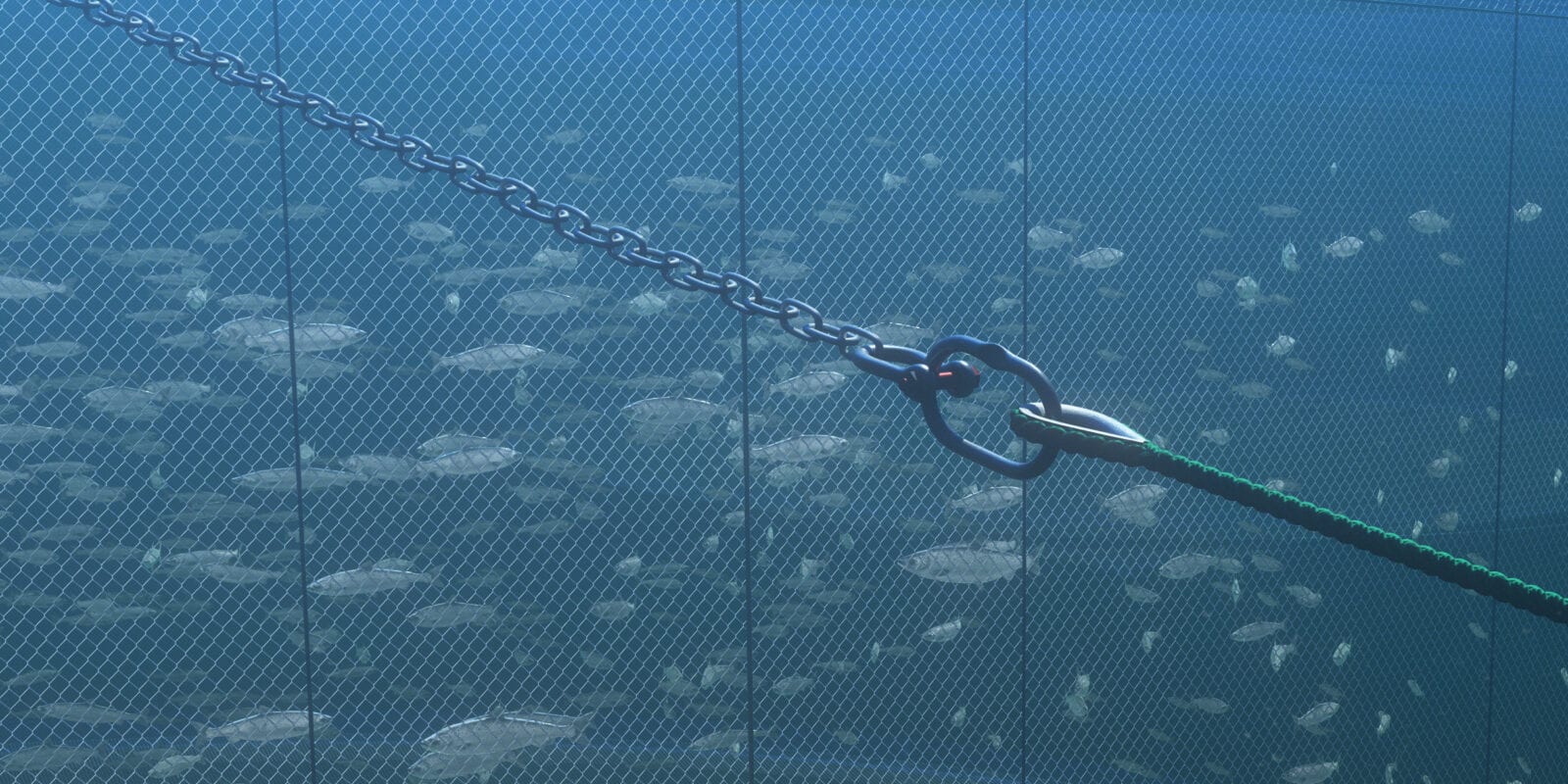 Master links - Galvanised - Vónin - Proof tested for strength