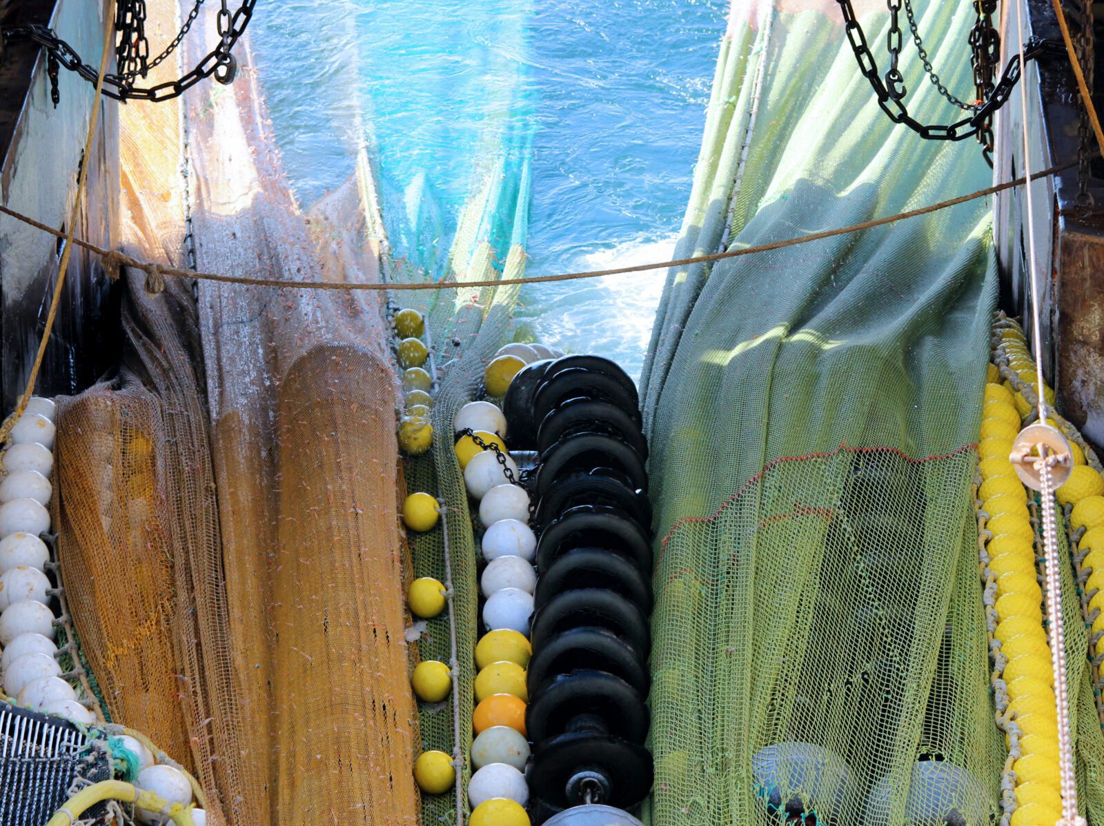 Vónin Kodiak - Vónin