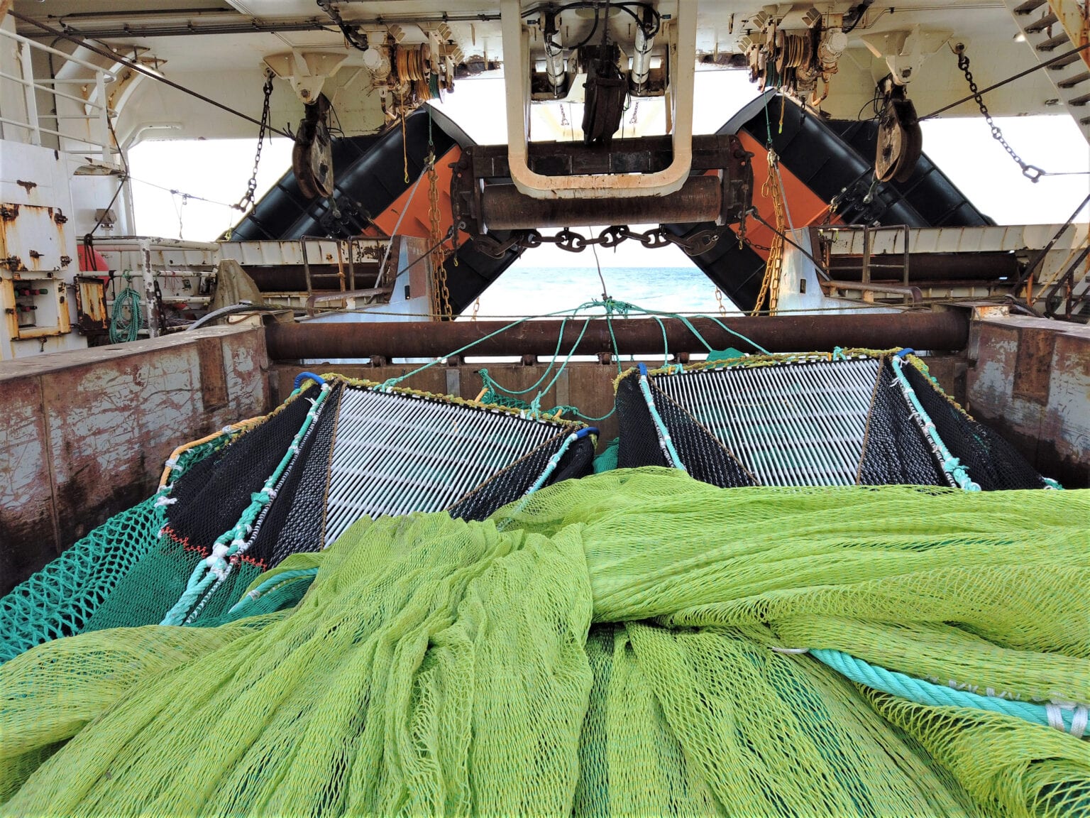 Vónin shrimp grid - Sorting grid - Increase your catch